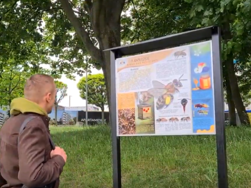 Walk on a Bee Path and learn a city Bee Story | urbact.eu